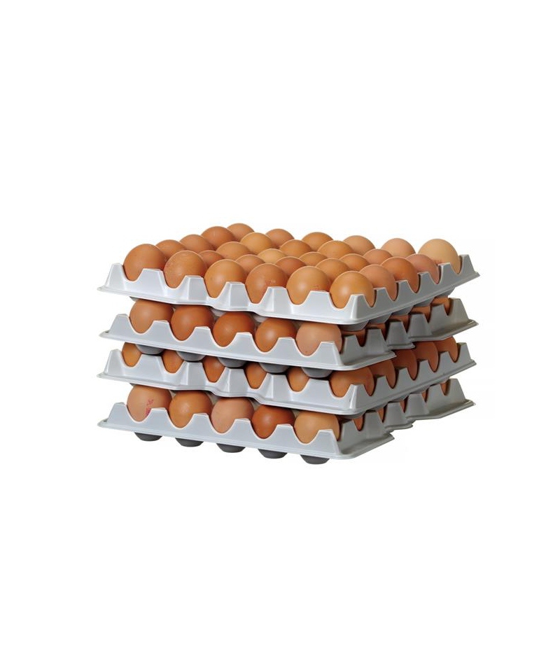 4er-Set HENDI OVOBOX 120 Eierschalen, HENDI, 291x288x(H)41mm ...